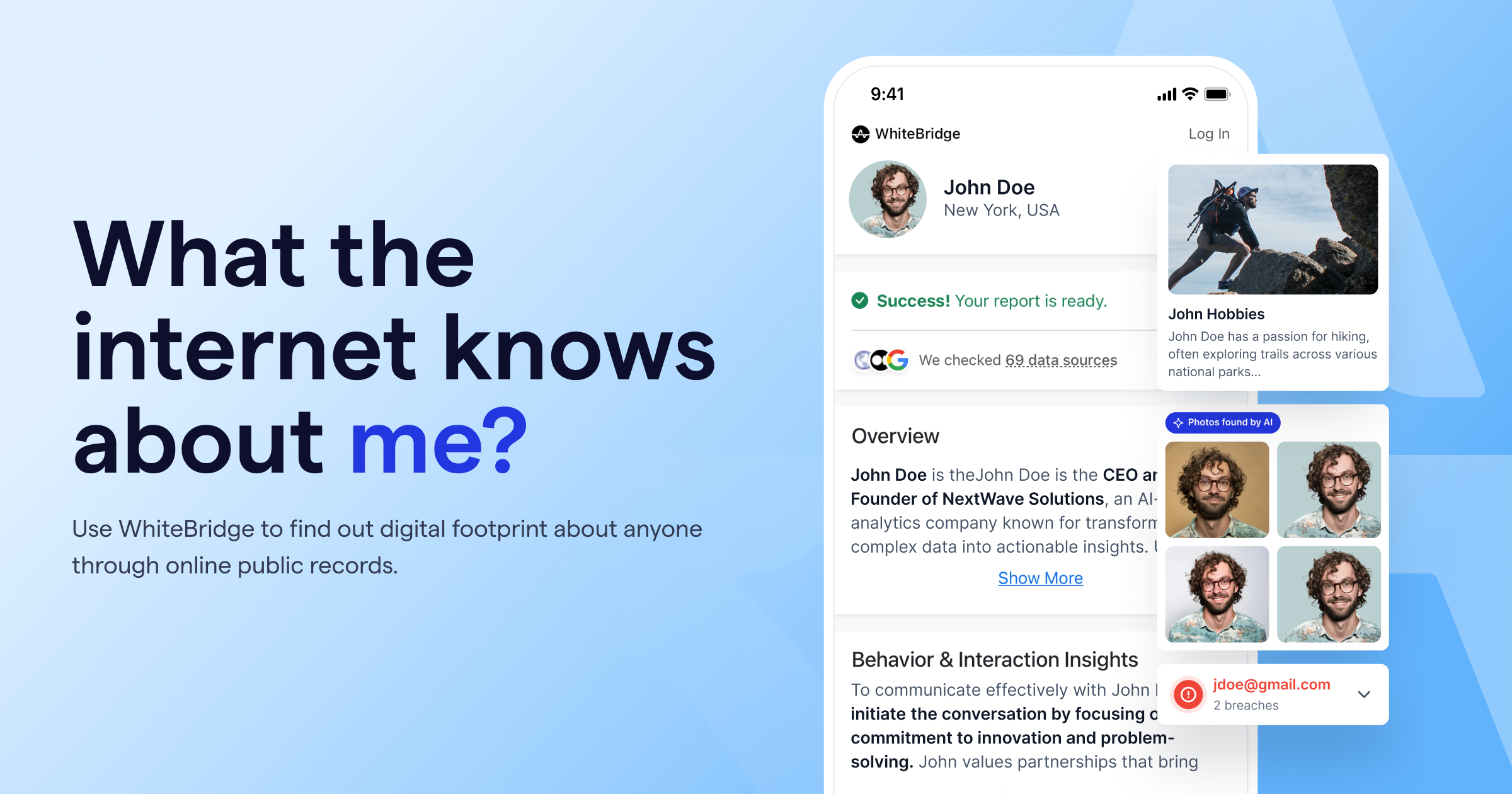 Check Your Online Reputation with AI – Whitebridge.ai